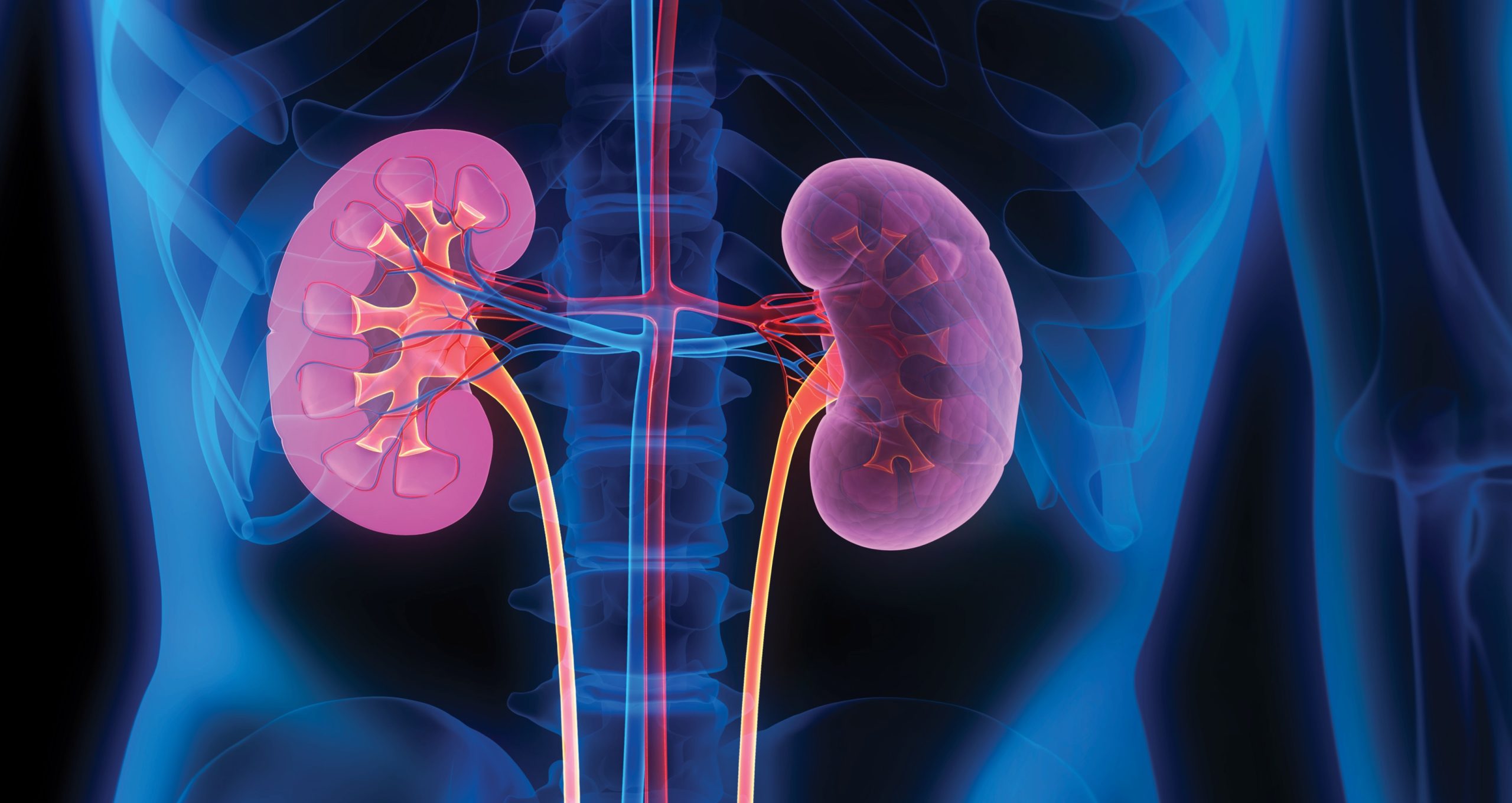 Nowe możliwości wytwarzania dostępu naczyniowego do dializ - dlaszpitali.pl